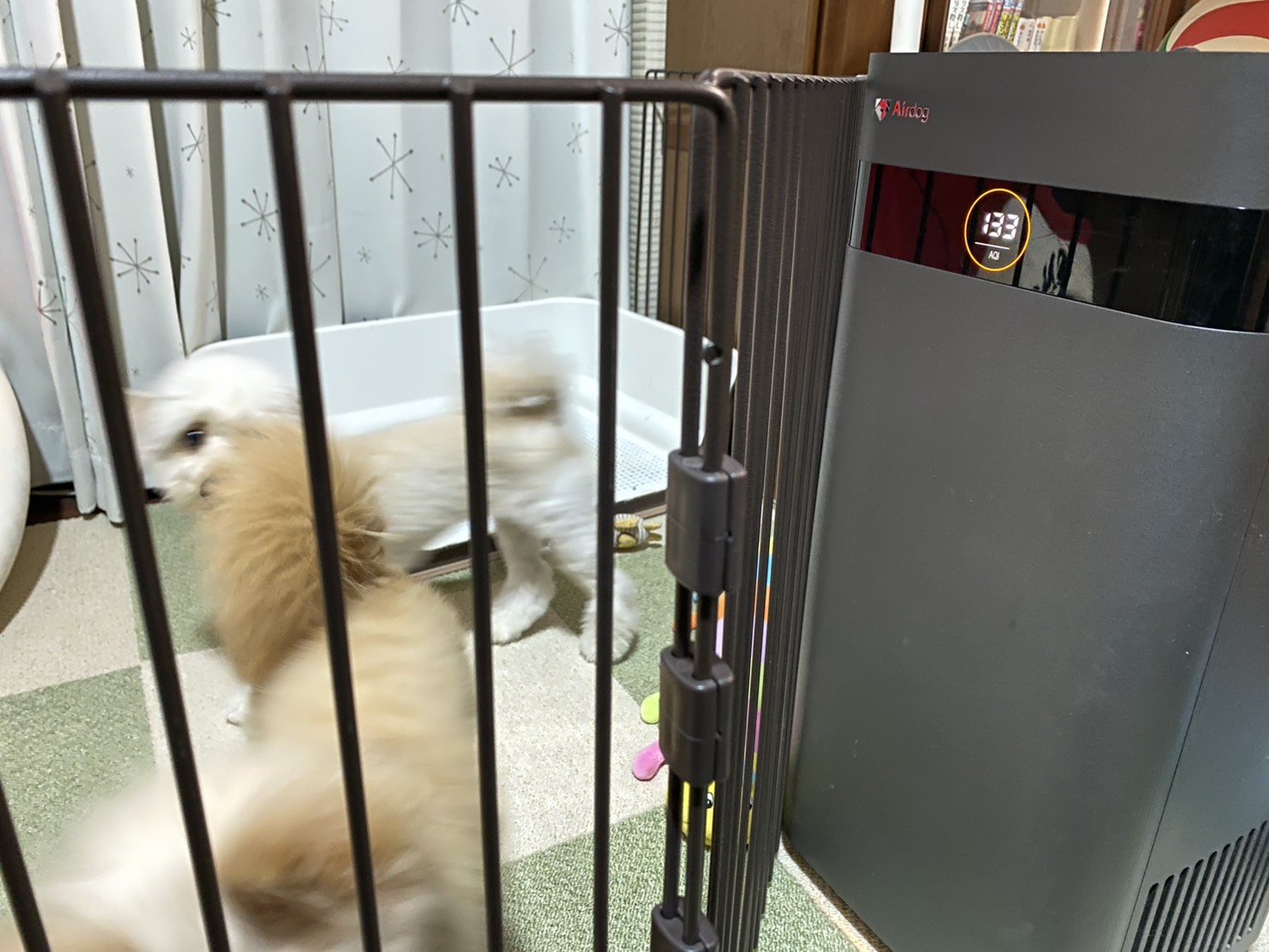 ペット用空気清浄機 | いぬの足あと日記🐾